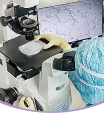 Blood Circulation Test – AreoVeda